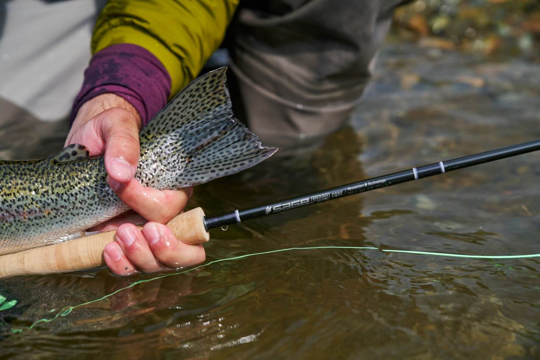 Sage R8 Core Fly Rods | Model-by-Model Review - Telluride Angler