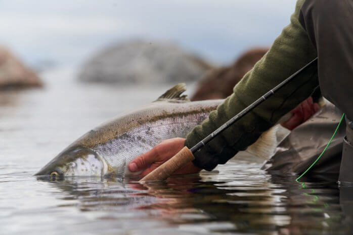 Sage R8 Core Fly Rods | Model-by-Model Review - Telluride Angler