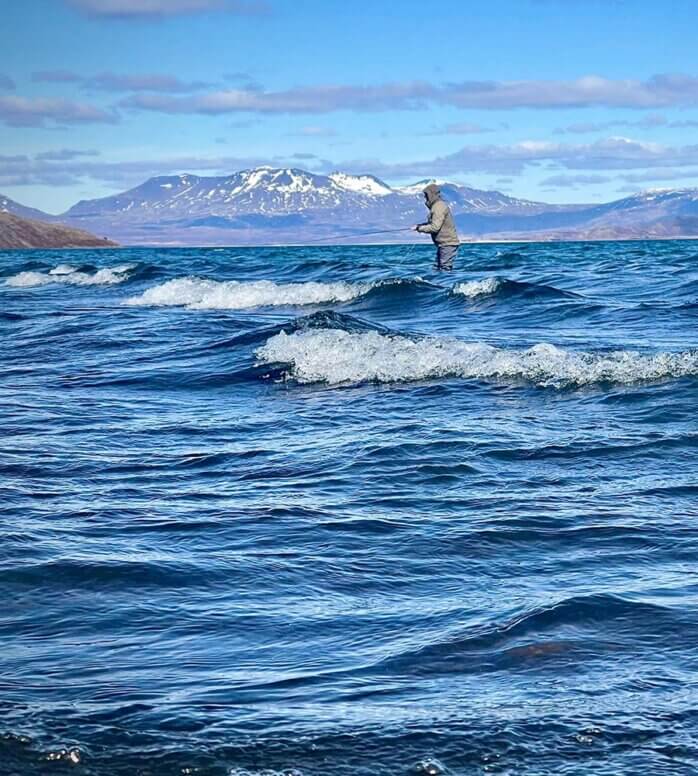 Selecting a mid-priced freshwater rod | Session v. Sonic v. IMX Pro V2 ...