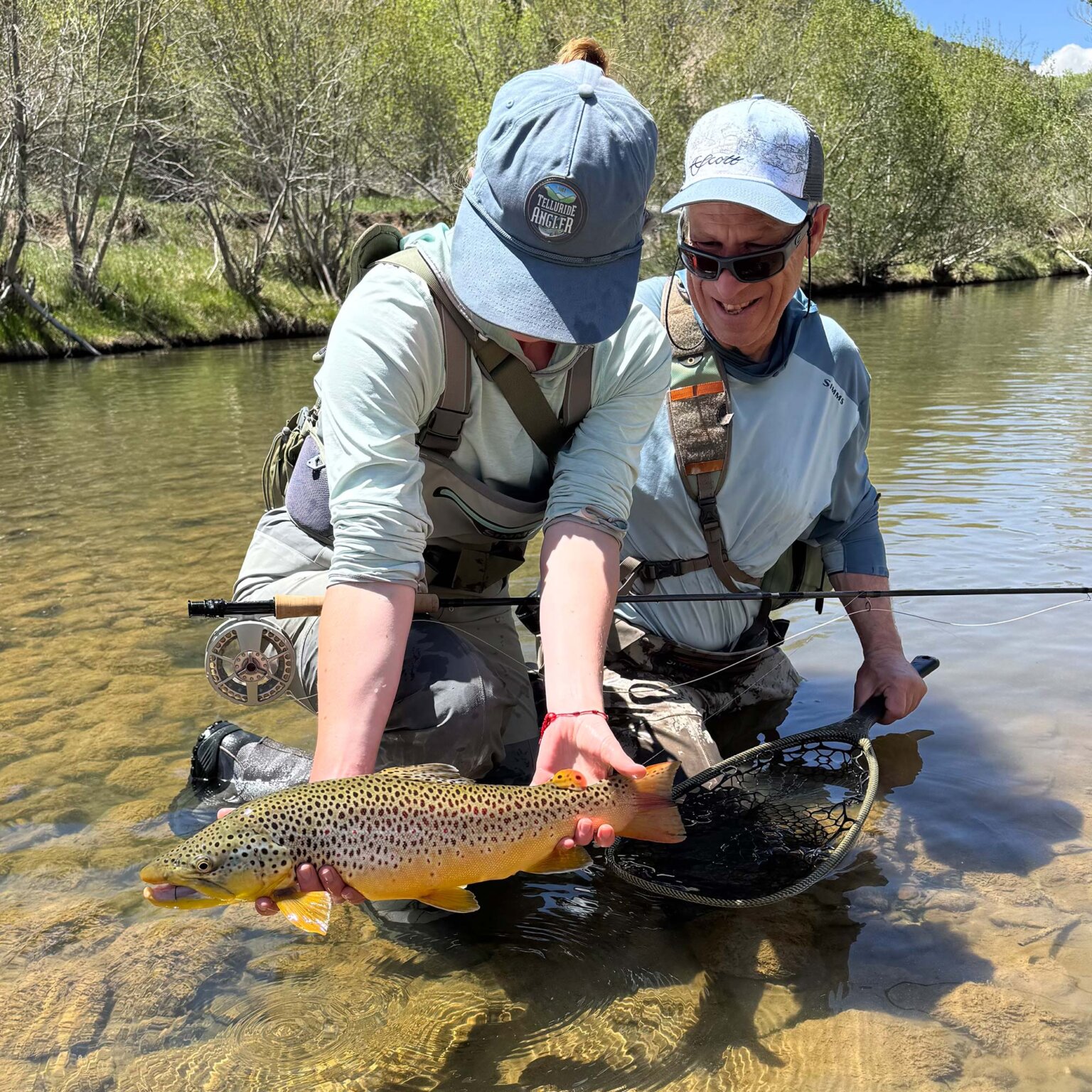 Comparing Medium Action Fly Rods: Scott, Sage, Orvis, G.Loomis, Winston ...